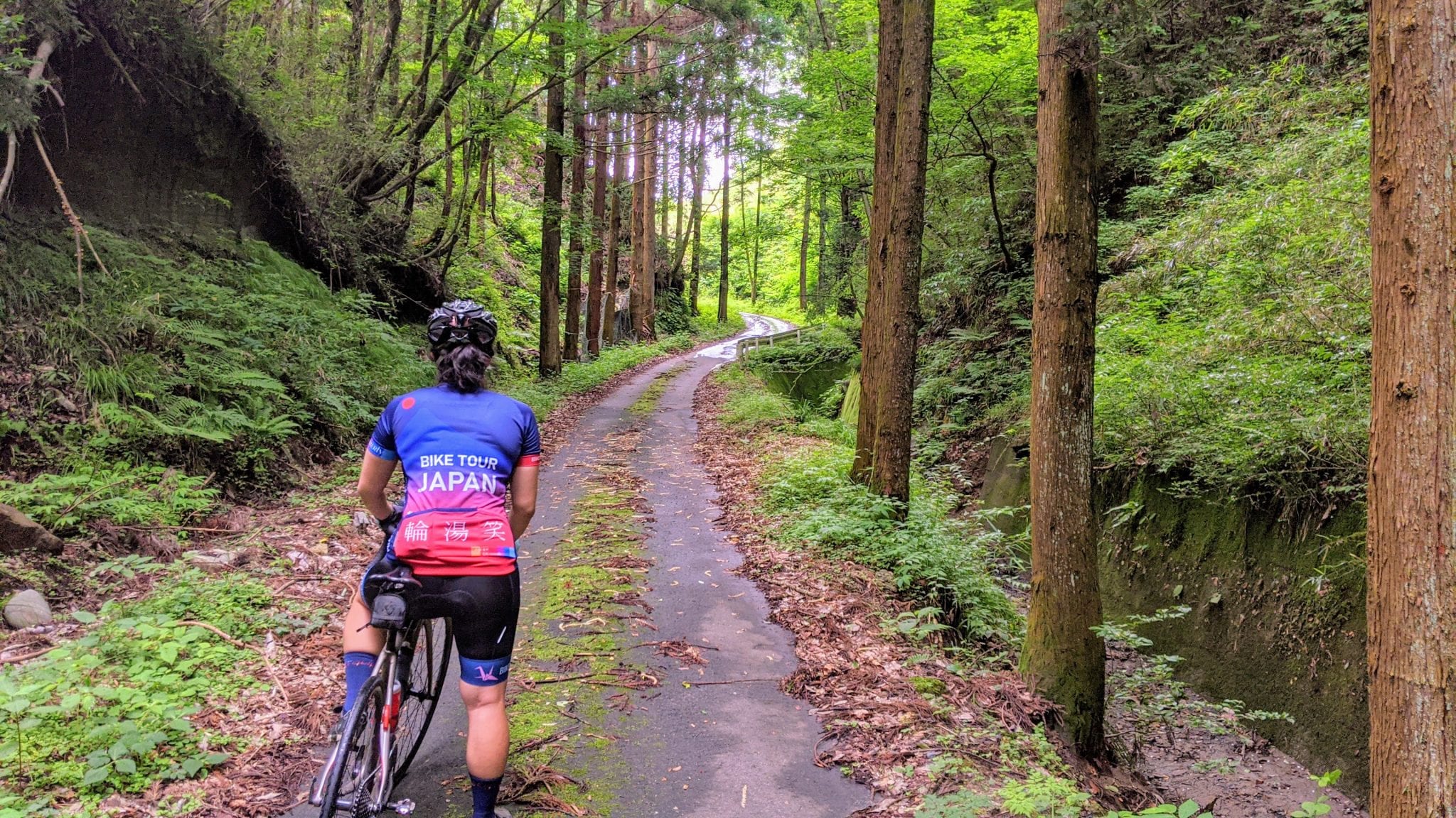 The Four Seasons of Cycling in Japan - Rindo Bike Tour Japan