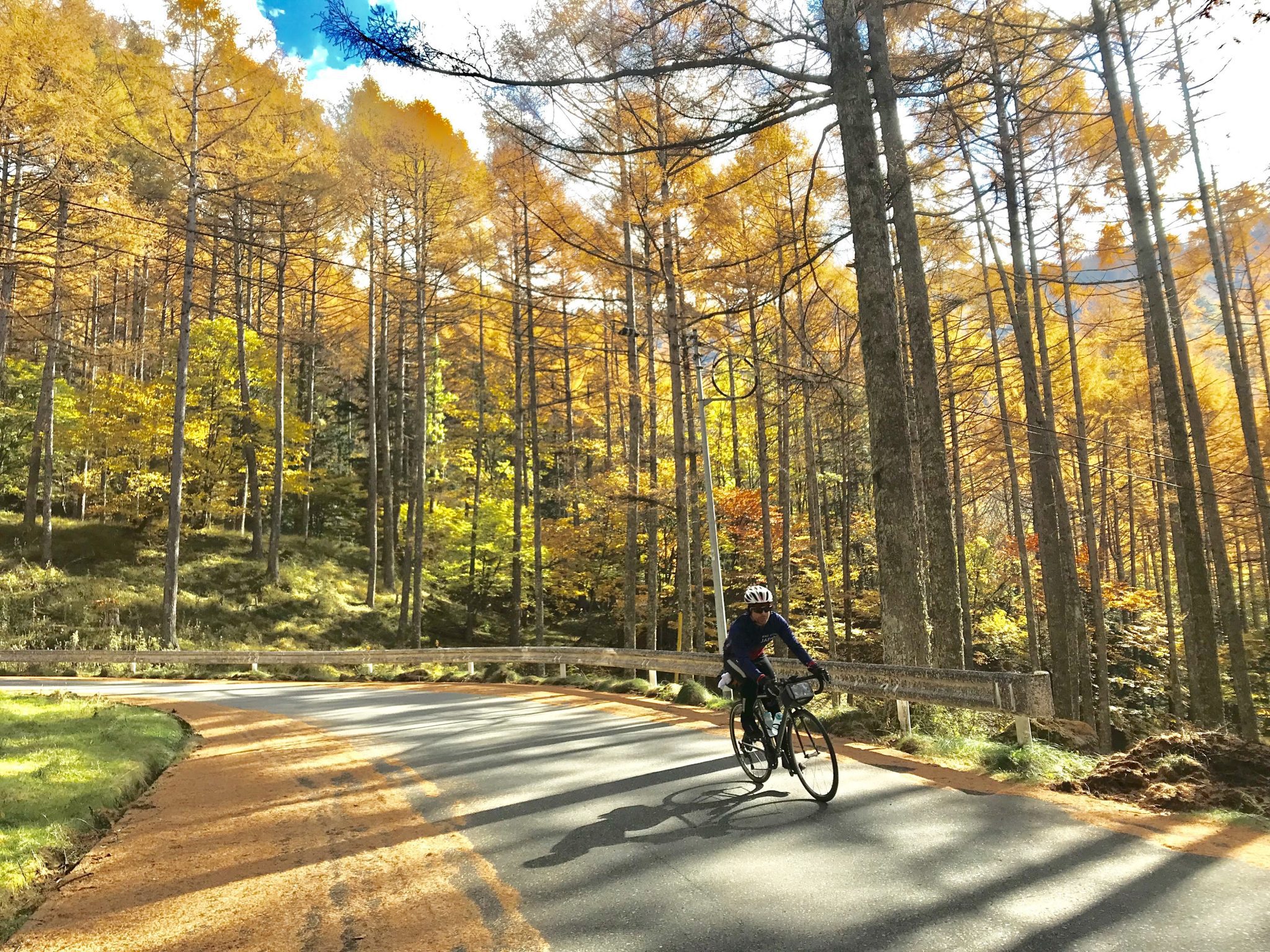 Rindo Forest Roads 林道 | Japan's Best Road Biking - Rindo Bike Tour Japan