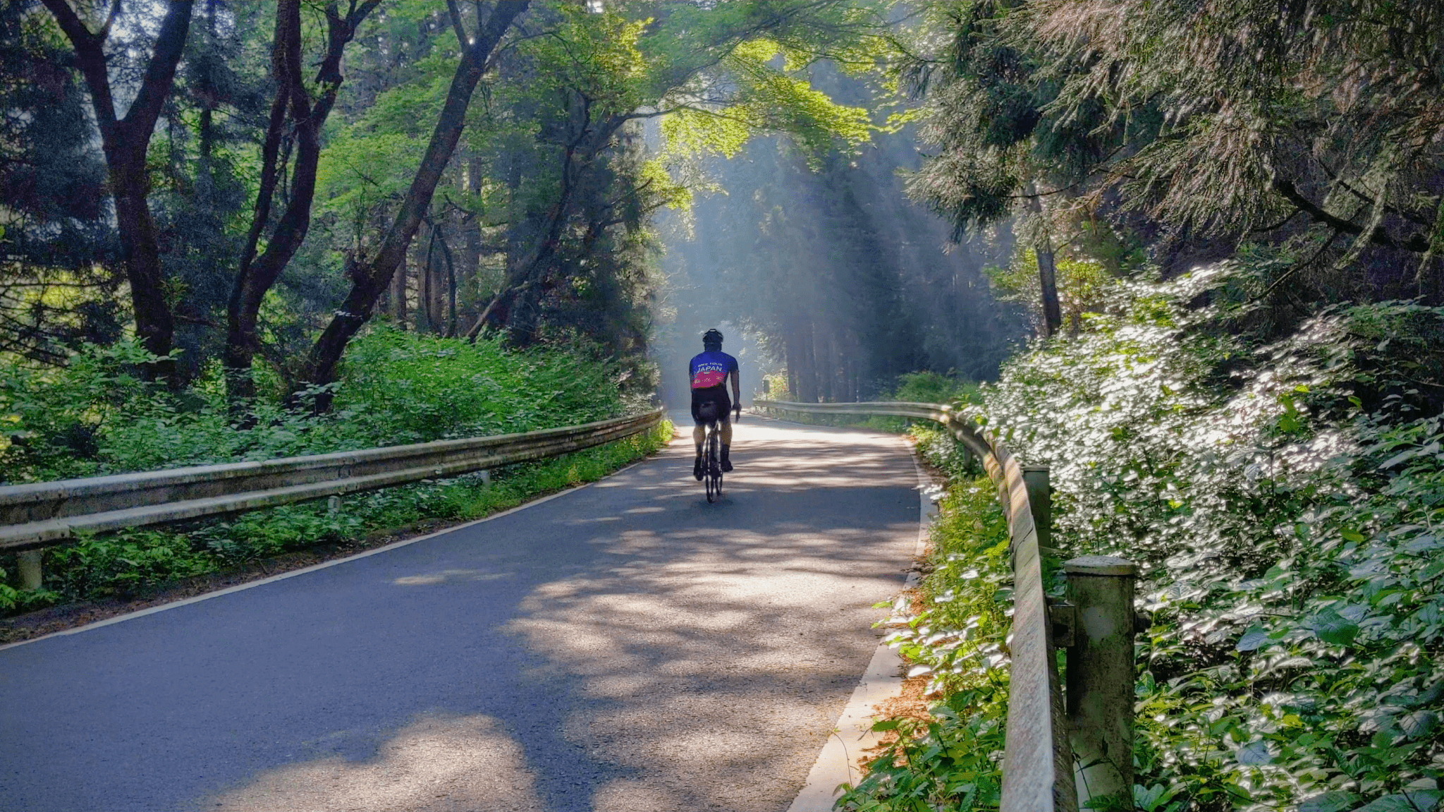 Rindo Forest Roads 林道 | Japan's Best Road Biking - Rindo Bike Tour Japan